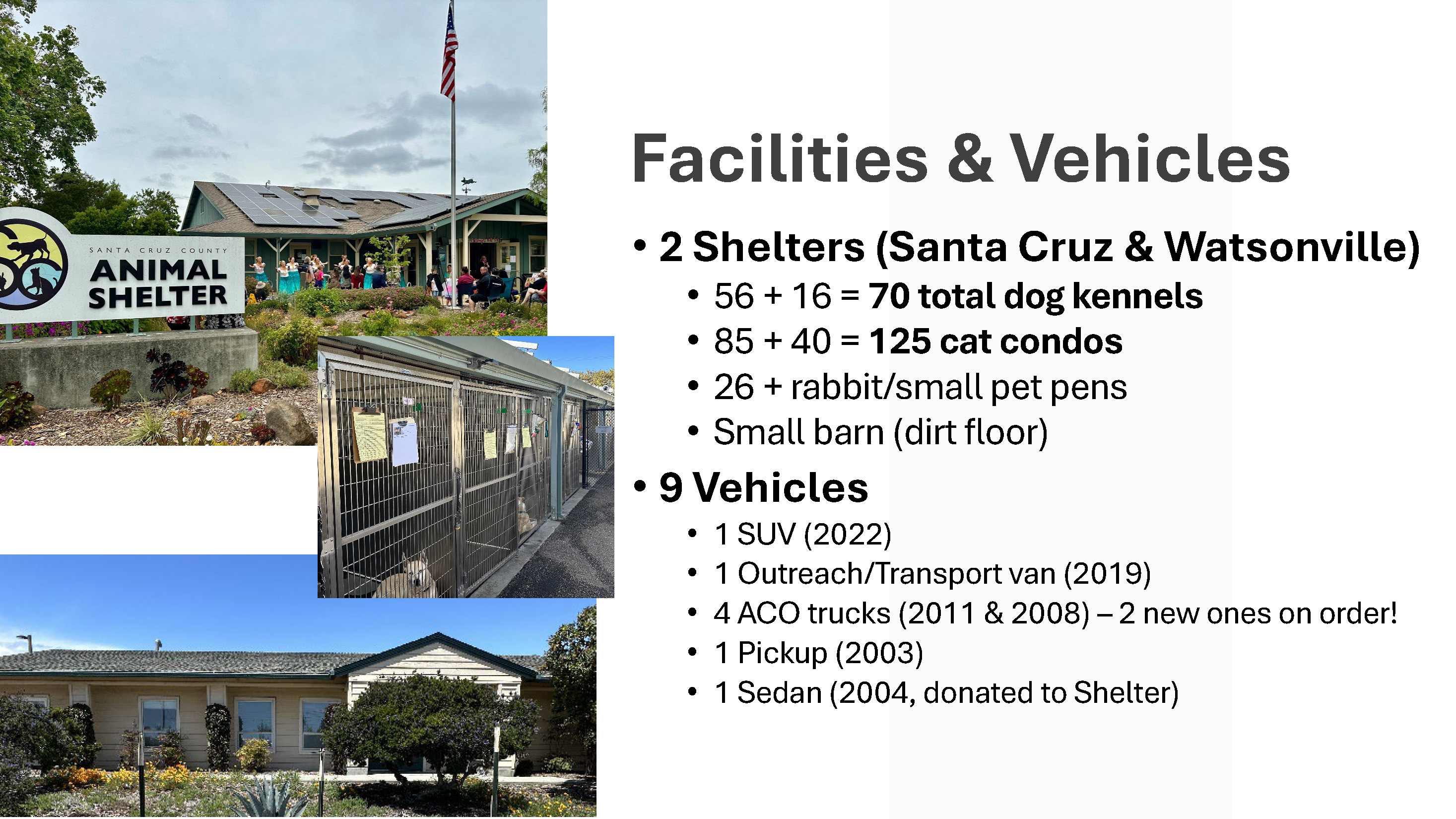 A tour of the Santa Cruz County Animal Shelter during the holiday season