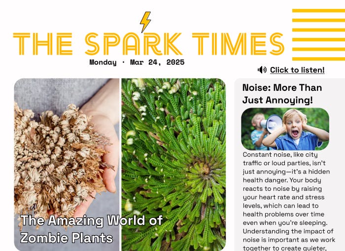 Mar 24, 2025: The Spark Times