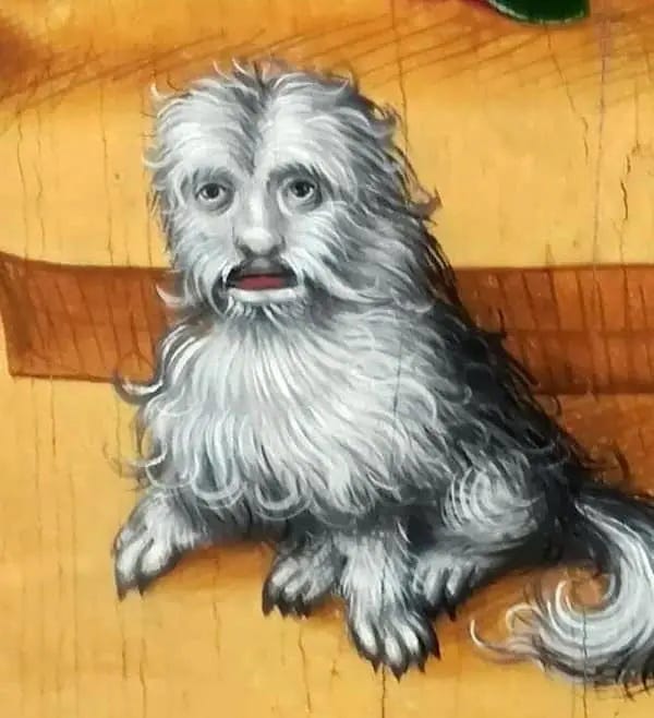 The Curious Case of Medieval Dogs - by Adam Ming - Art Gym