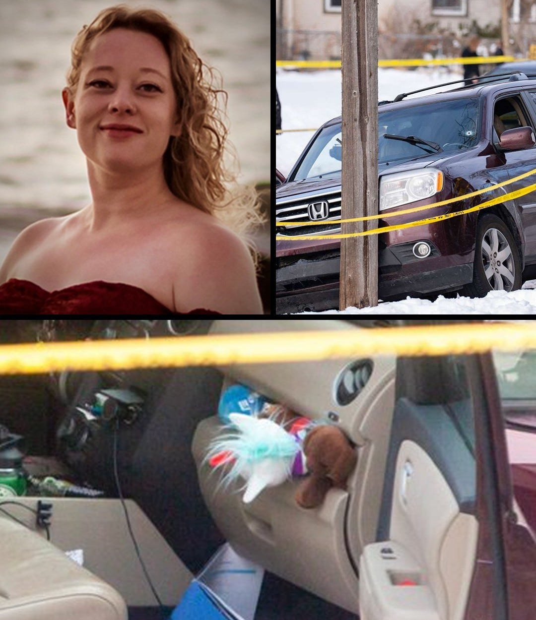 An Analysis of the Killing of Renée Good | Deadly Force Doctrine ...