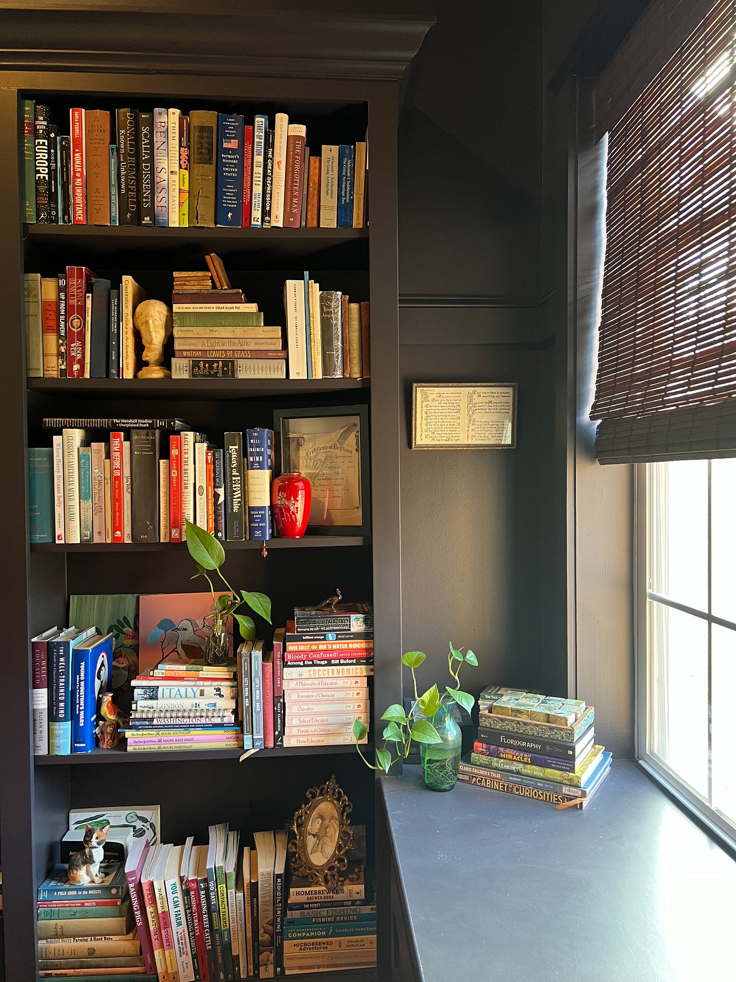 window something society