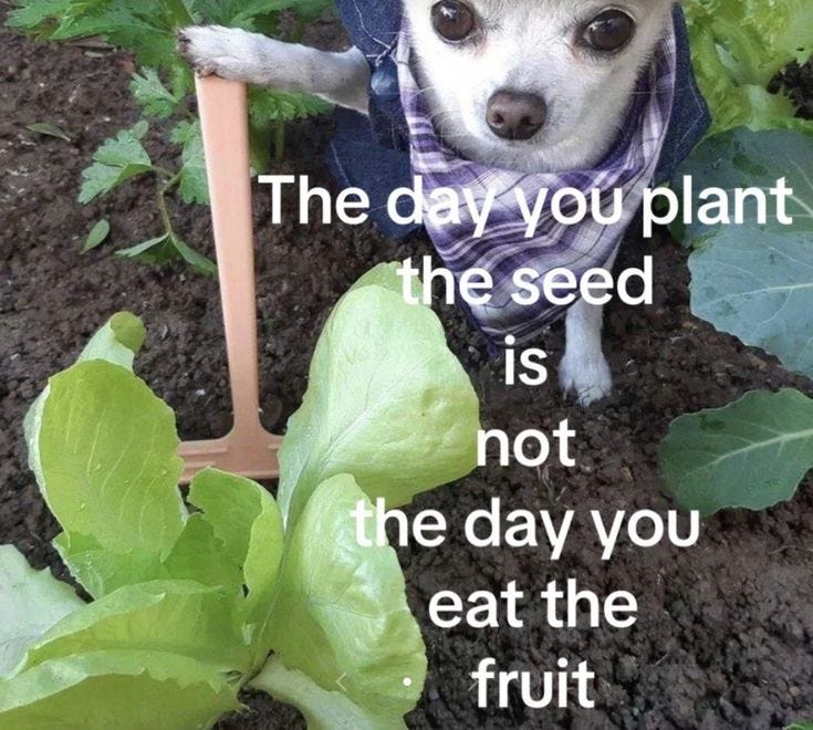 The 11 Psychological Markers of High Agency