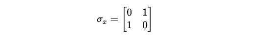 A Deep Dive Into The Mathematics Of Pauli Matrices