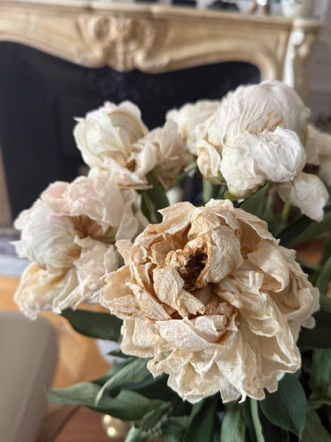 The Grace in Withering - by Tamara - Museguided