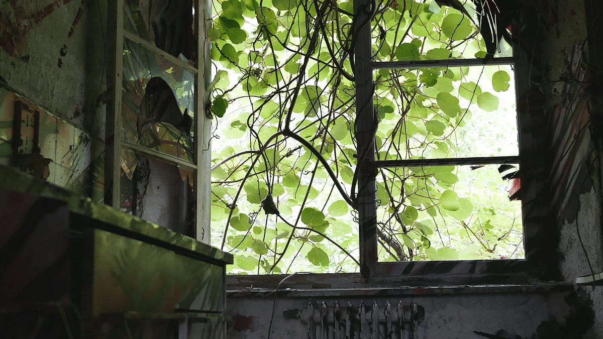 All the Broken Places: Guilt, Complicity, and Grief in the Public ...