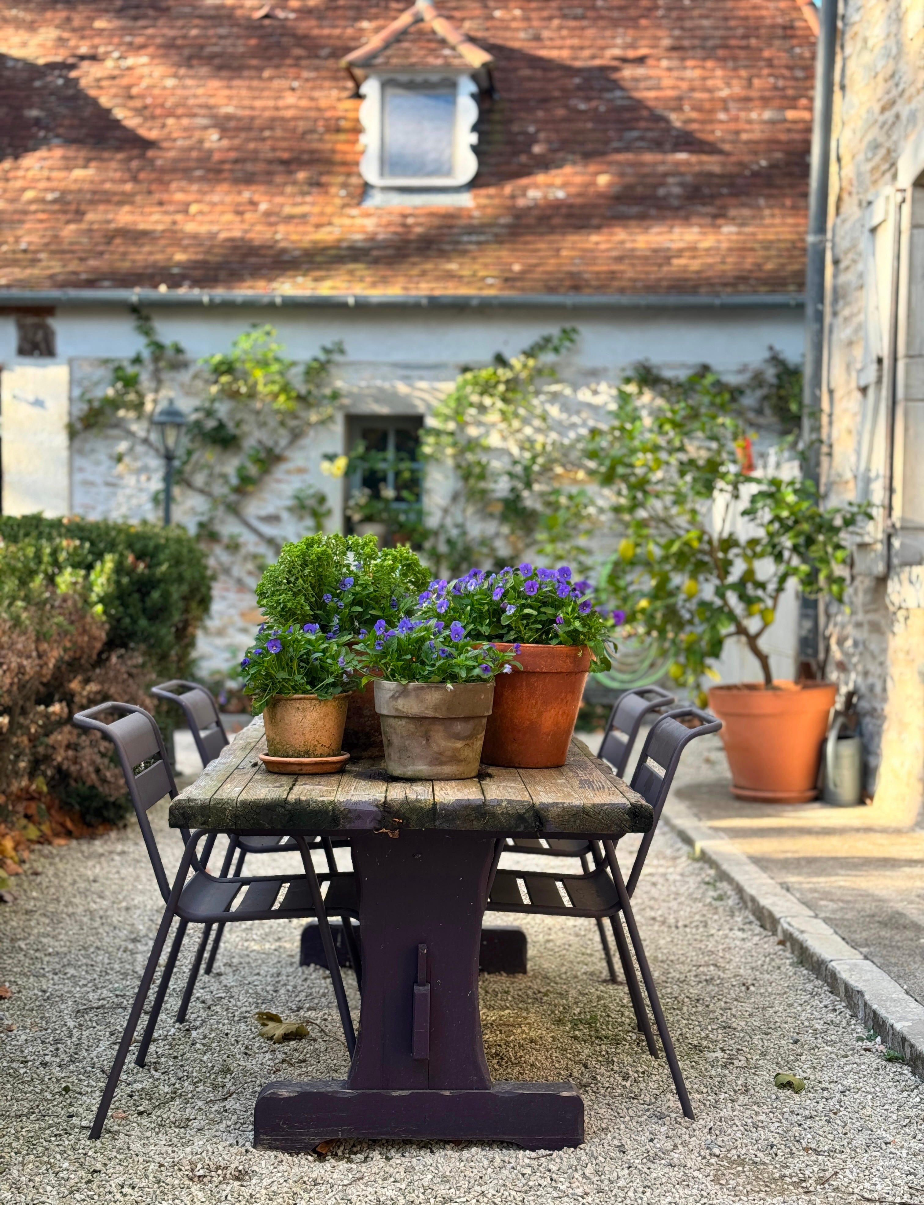 November Newsletter - Sara Silm's How To French Country