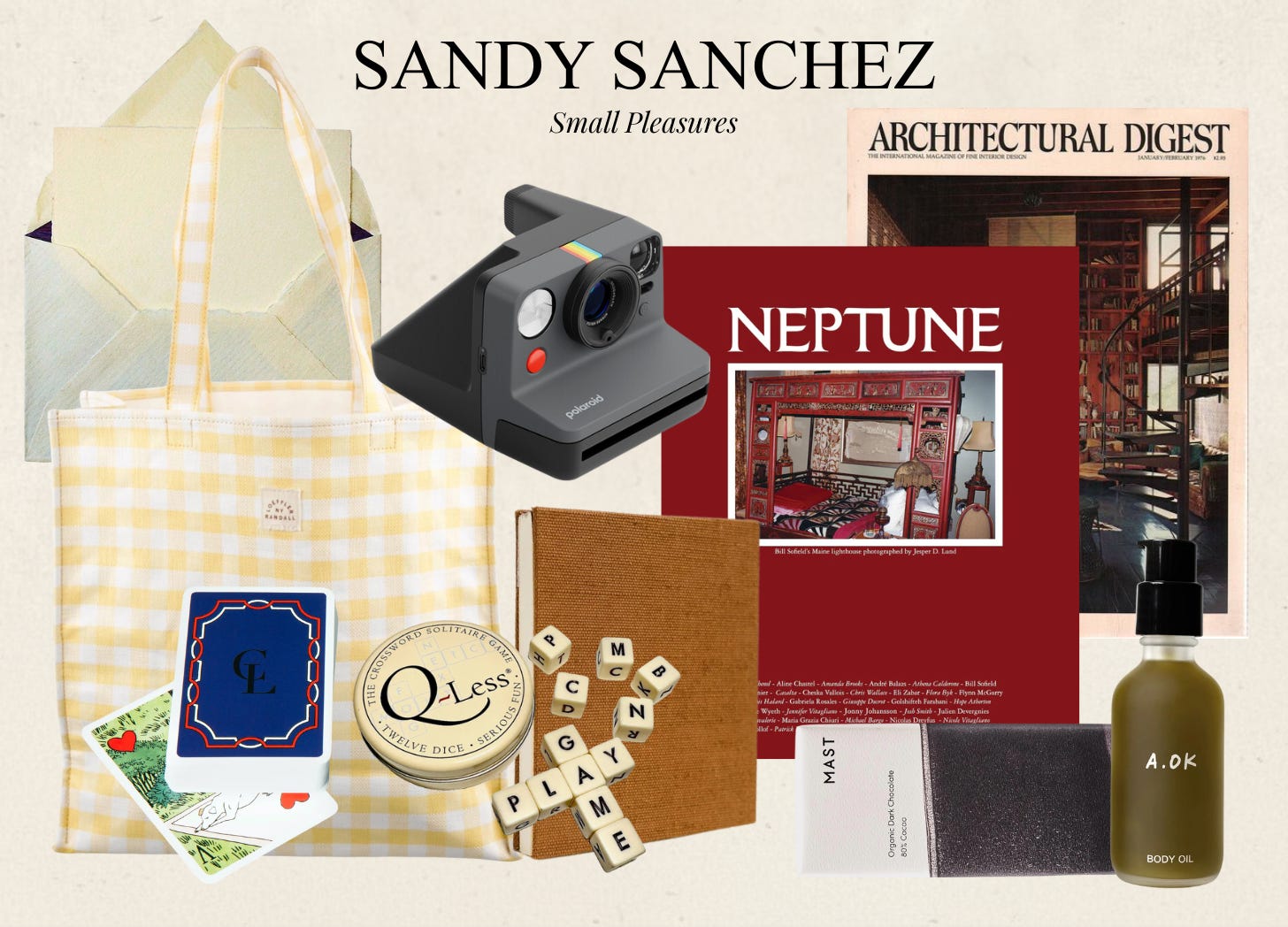 The Analog Bag - by Lauren Sands - A Whimsical World