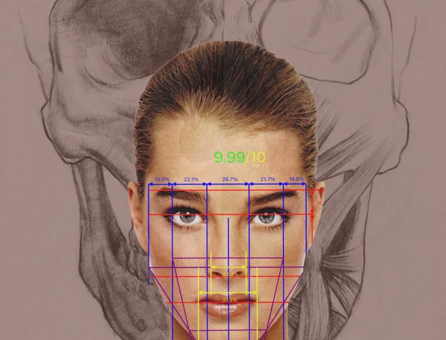 Beauty + Health Part 1: The Maxilla