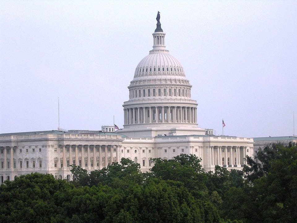 Civics Made Easy: Fun Activities to Learn About the Three Branches of ...