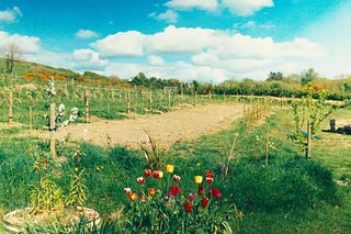 Huw Richards | Substack