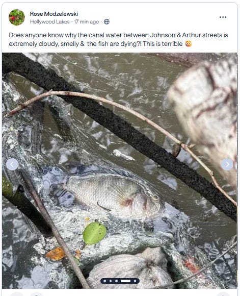 Bad Smell, Dead Fish, Dirty Water Investigated in Hollywood