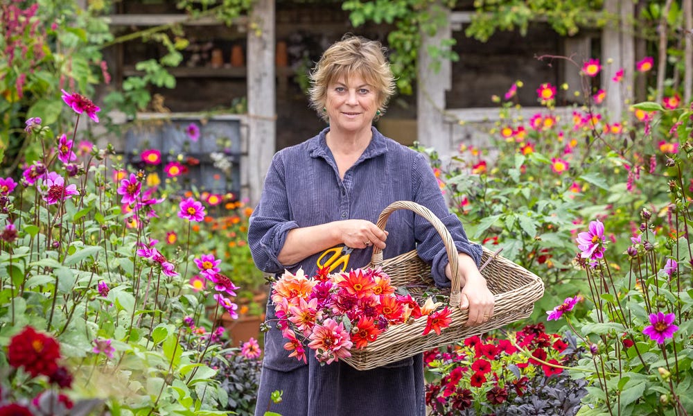 5 mins with Sarah Raven - by Willow Crossley - The Seedling