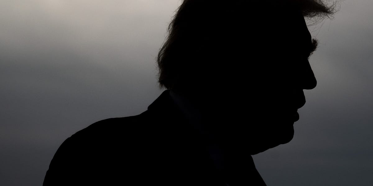 Reining in Rogue Presidents - by Philip Rotner