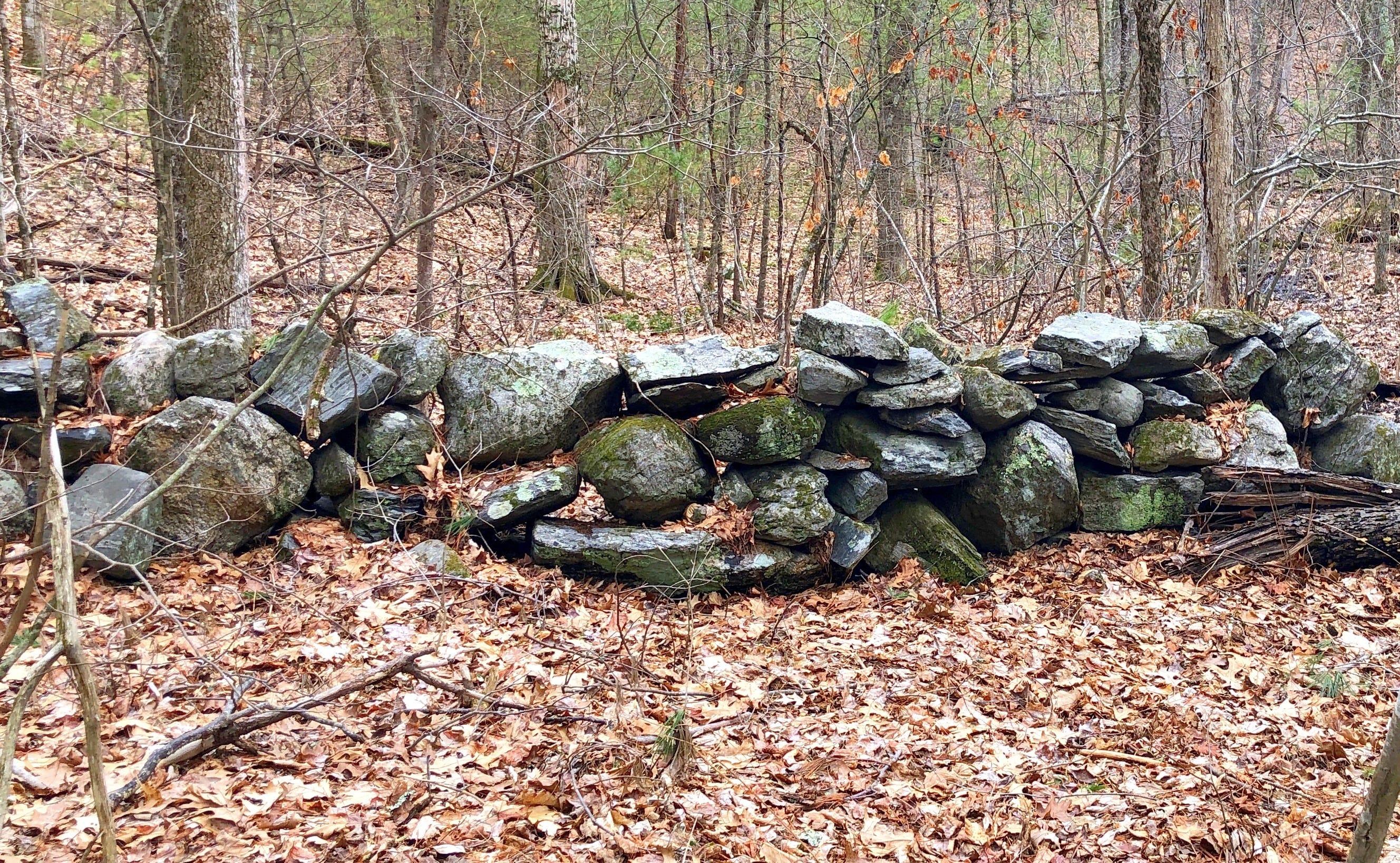 Surrounded Stones - by Mike Luoma - Ancient Stone Mysteries