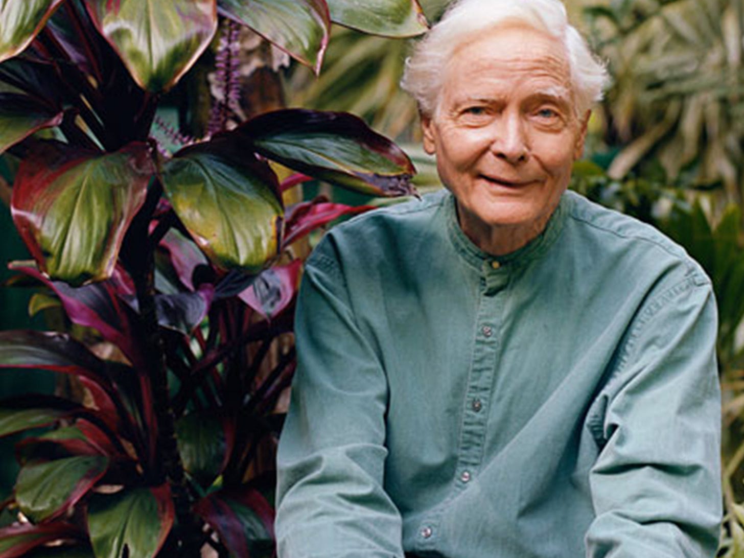 A Poem - "To the New Year" - A Poem