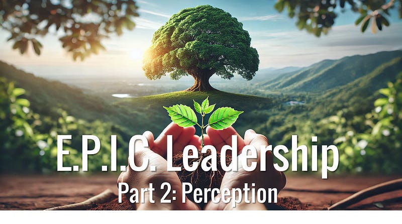Learning How to Be Perceptive: 5 Strategies to Sharpen Your Awareness ...
