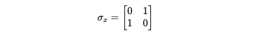 A Deep Dive Into The Mathematics Of Pauli Matrices