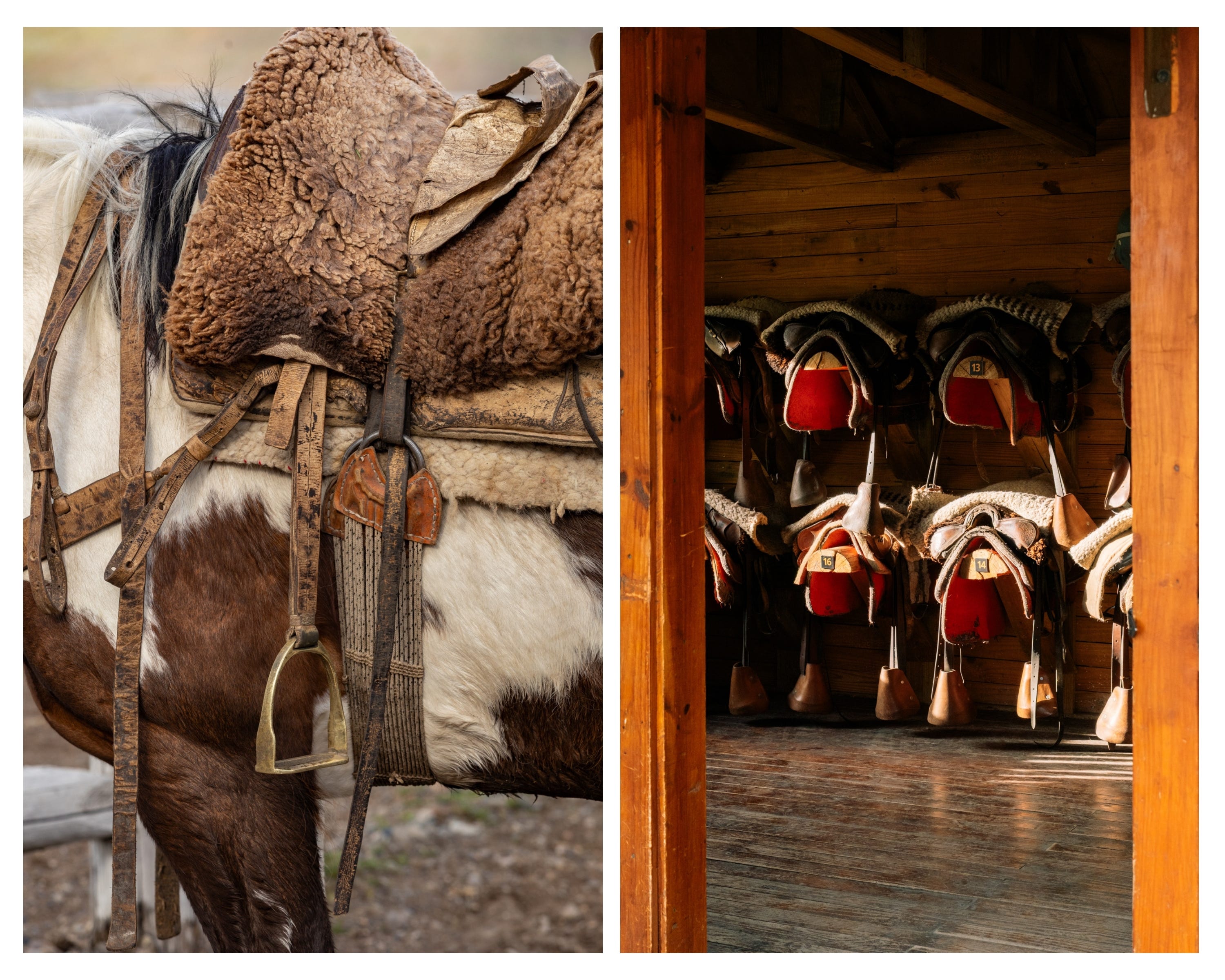 Faces of the Frontier 🐎🏔️🇦🇷 - by Heather Carpenter