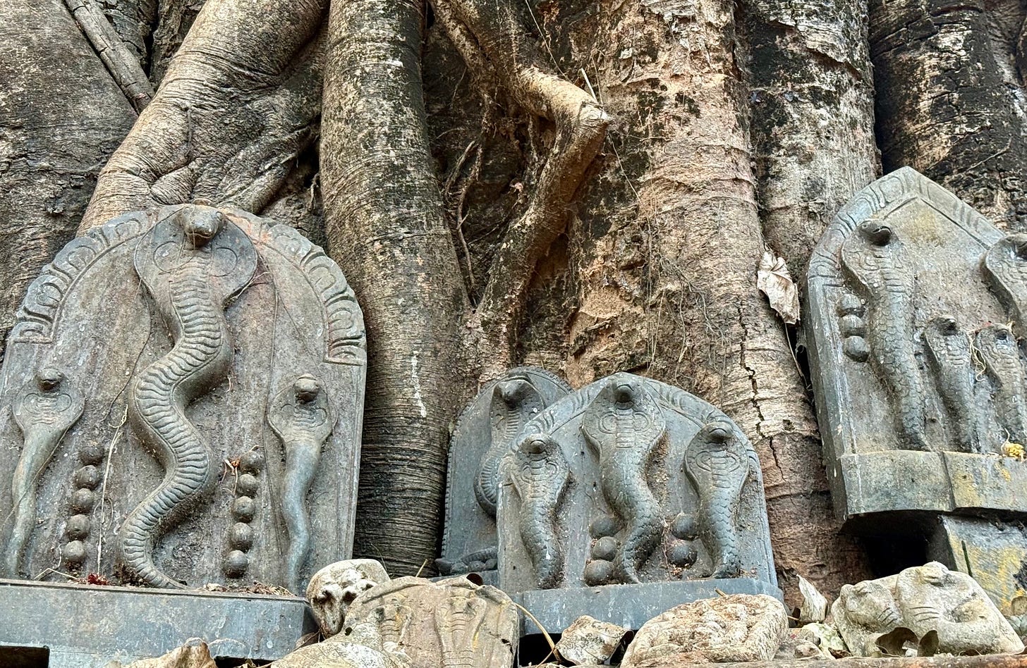 Talking Kundalini Over Coffee with a Brahmin Priest