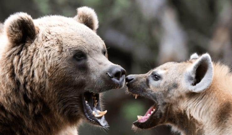 Pillage des avoirs russes : dans leur folie dominatrice, comme les ...