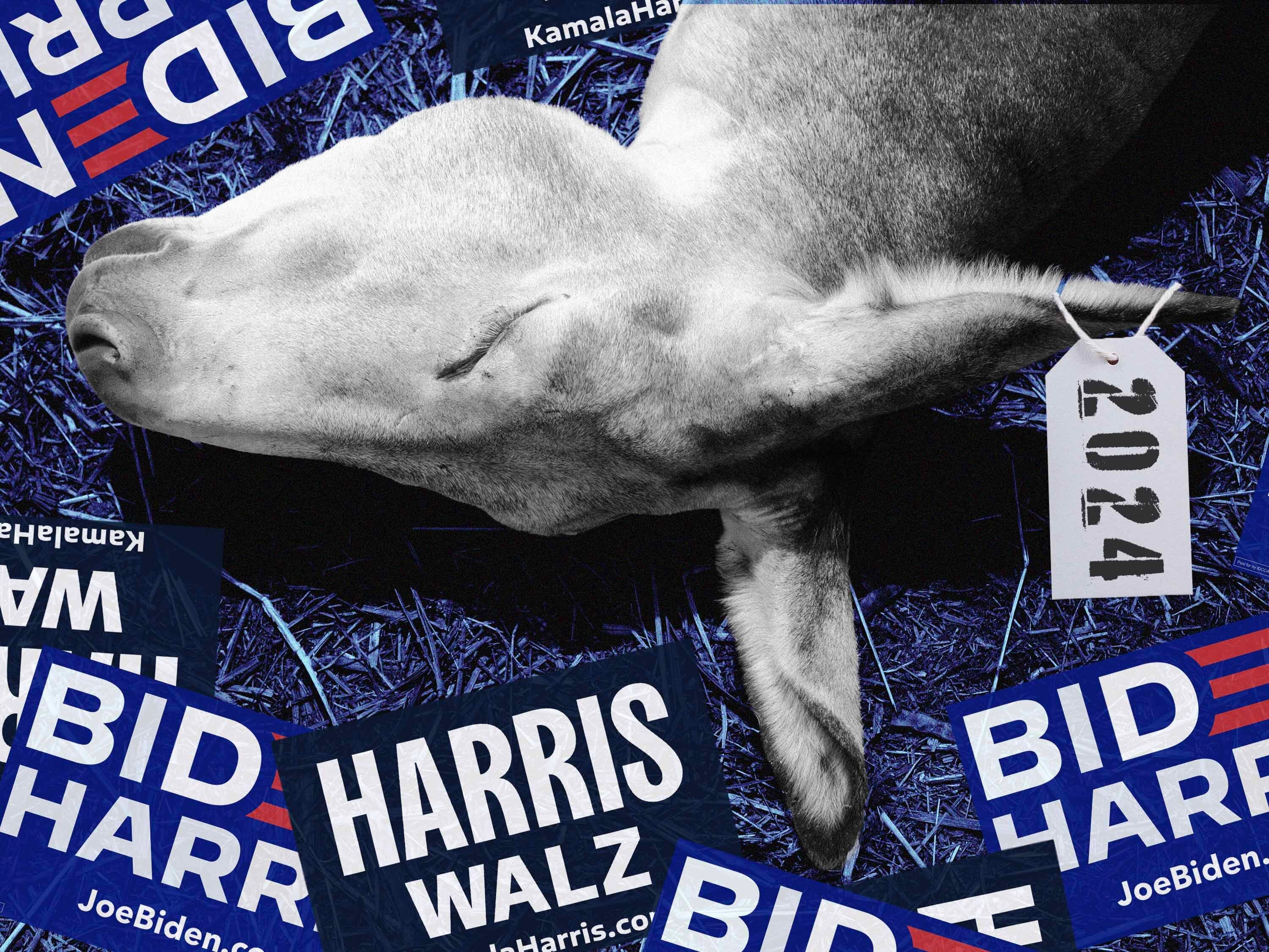 Here’s What I Told the DNC Autopsy - by Rob Flaherty