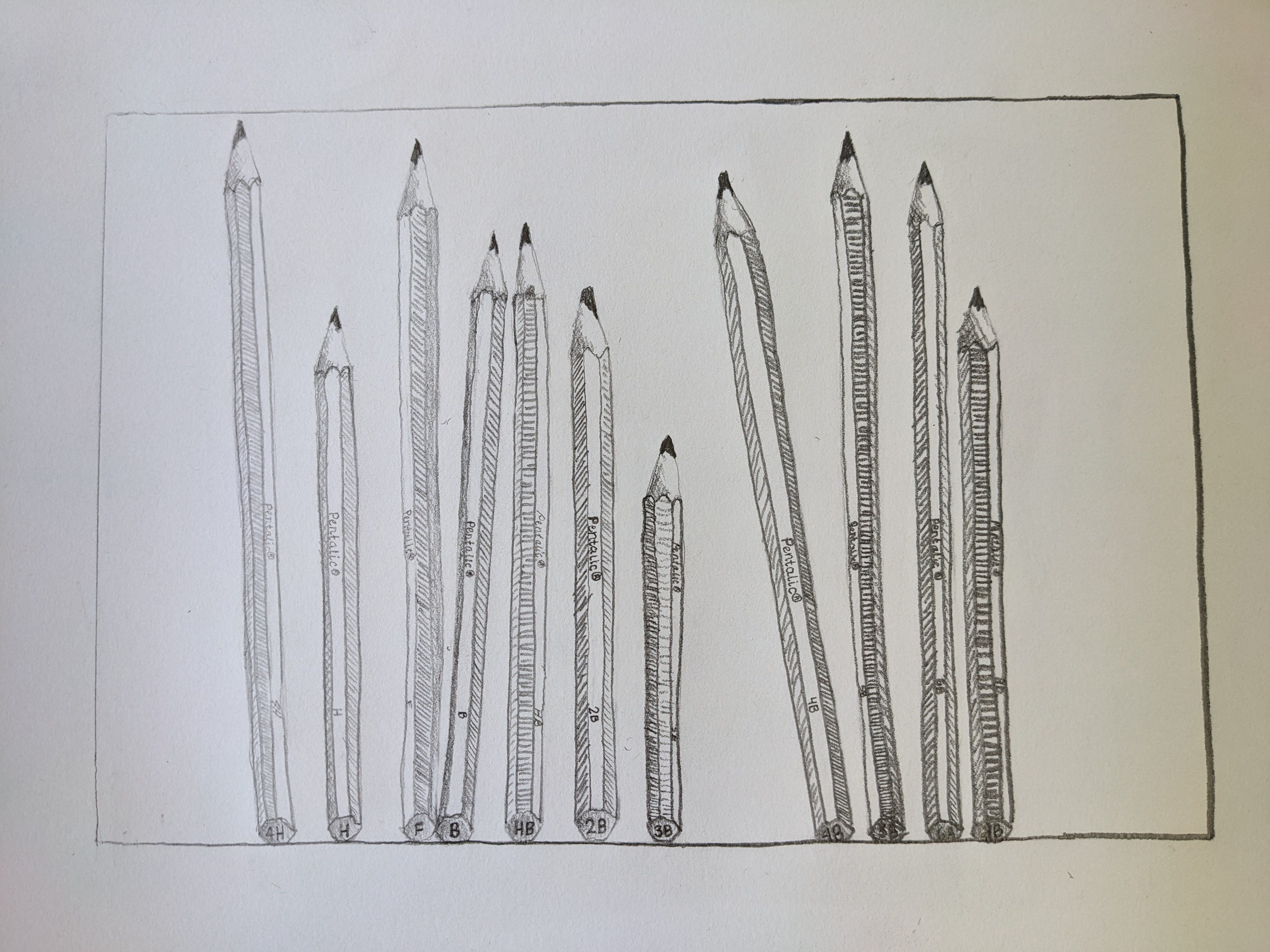 Pencil Skills, Part 2 ️ ️ - by Wendy MacNaughton