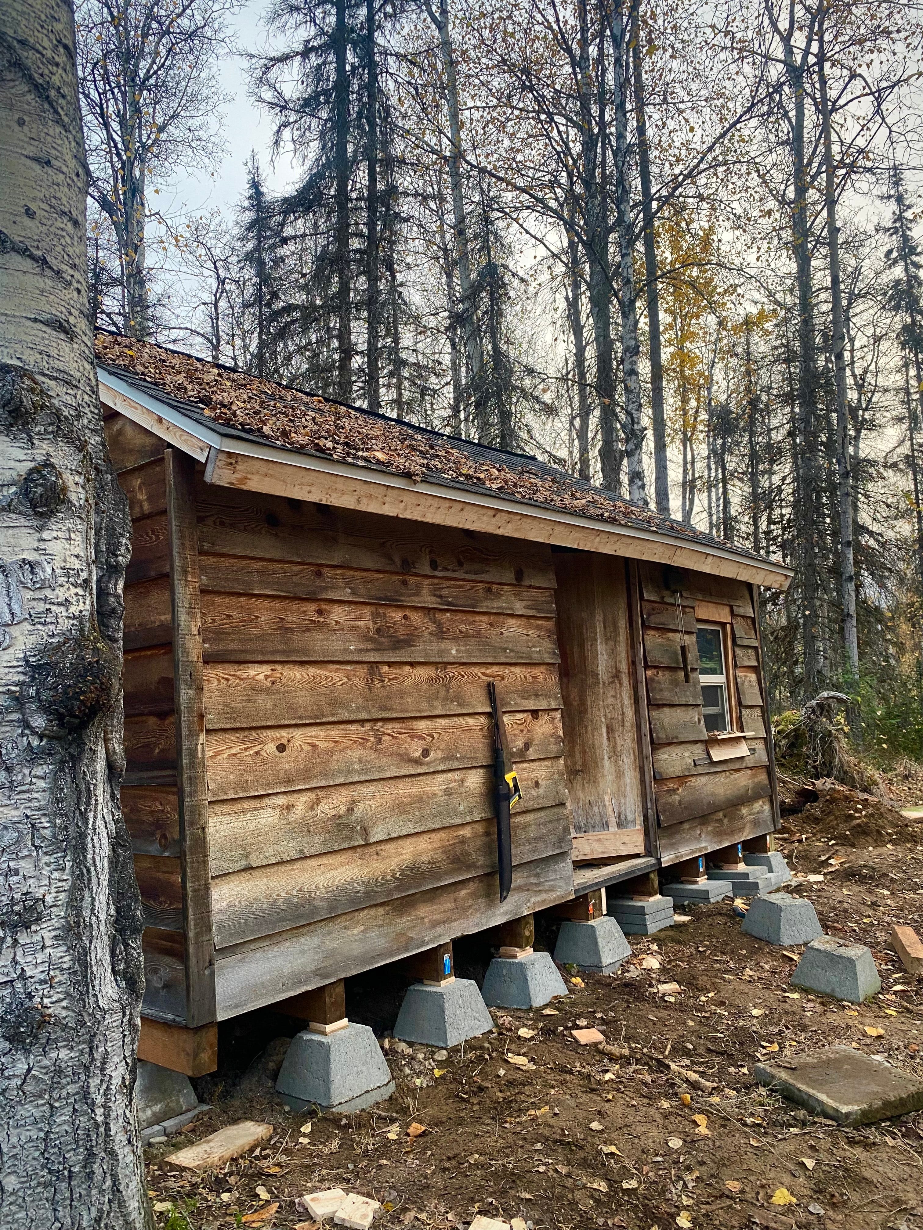 Journal from the Wilds: Cabin Walls and Cranberry Days