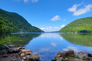 Silver Bulletin | Nate Silver | Substack