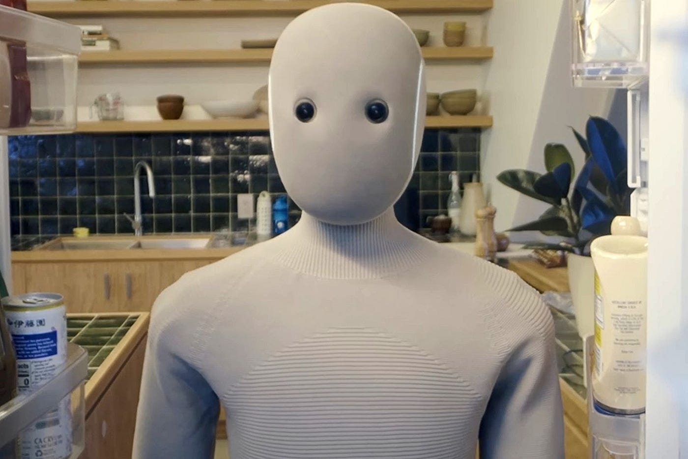 Humanoid Robots Are Not Ready for Prime Time (Yet)