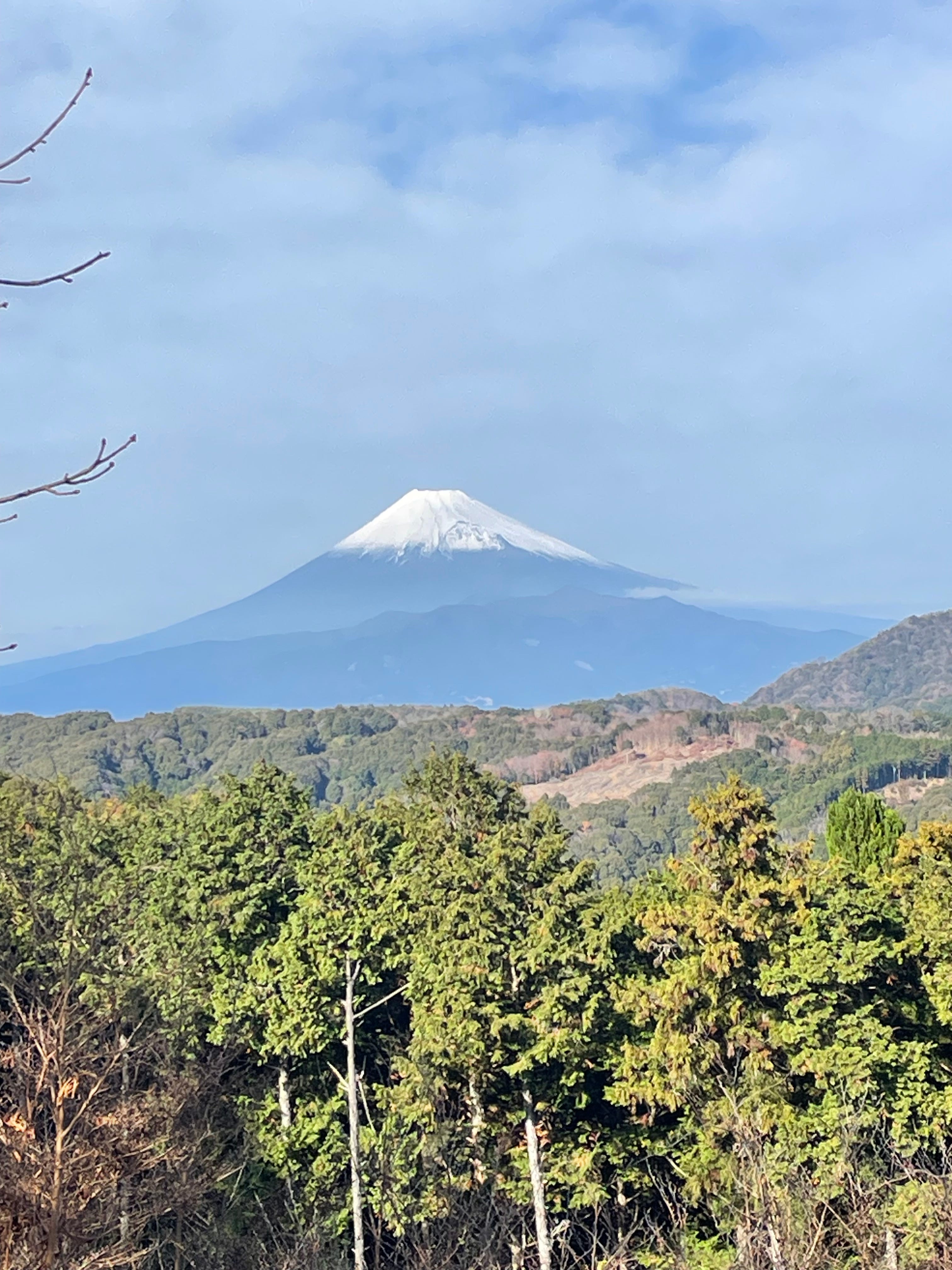 Back to the Past & Happy New Year - Stephen J. Golds