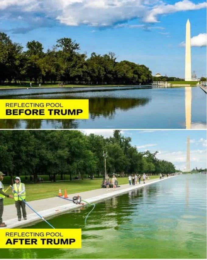 The 22 Best Reflecting Pool Memes - A Sunday Night Special