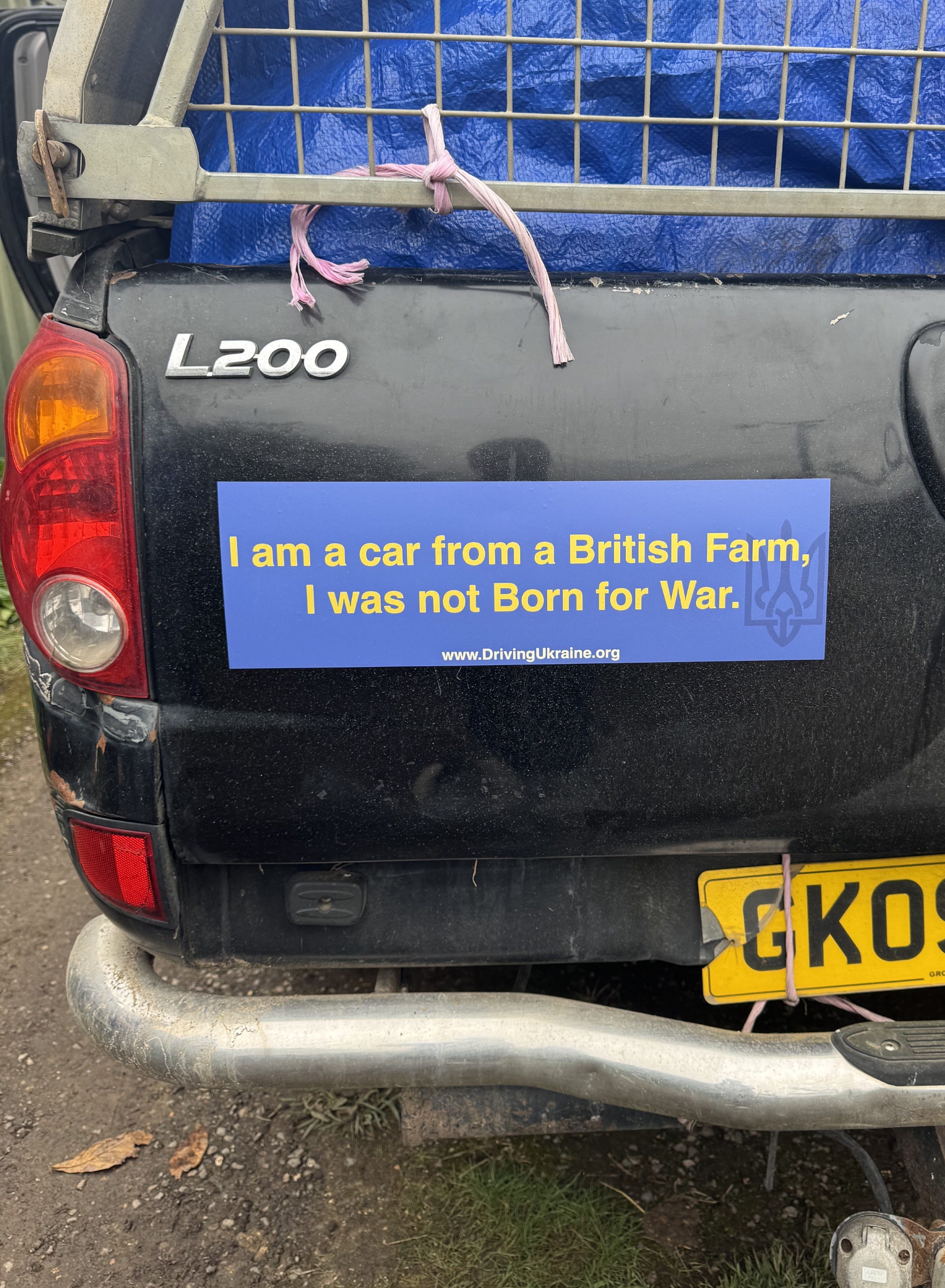 Not Born for War - by Susan Carter - Hybrid Magazine