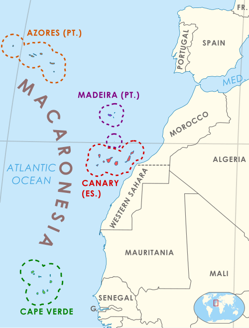 Waves of emigration across oceans: Azorean hotspots dominate the Americas