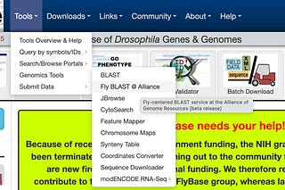 FlyBase Substack | Substack