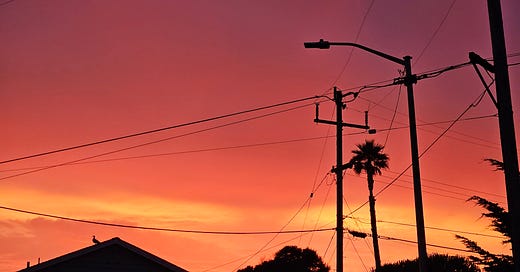 Unsettle | Kim TallBear | Substack