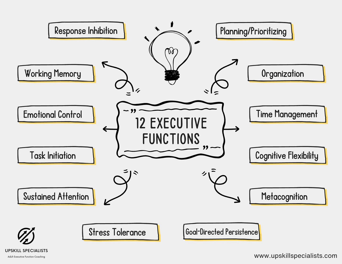 Adult Executive Function Skills: Comprehensive Guide (2025)
