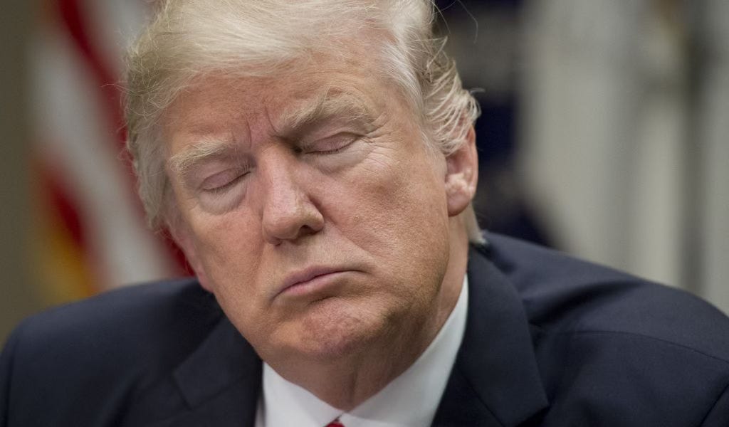 Musk Puts Trump in Charge of New Unit Called DOZE