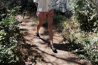 Winter’s Substack | Winter Ave Zoli | Substack