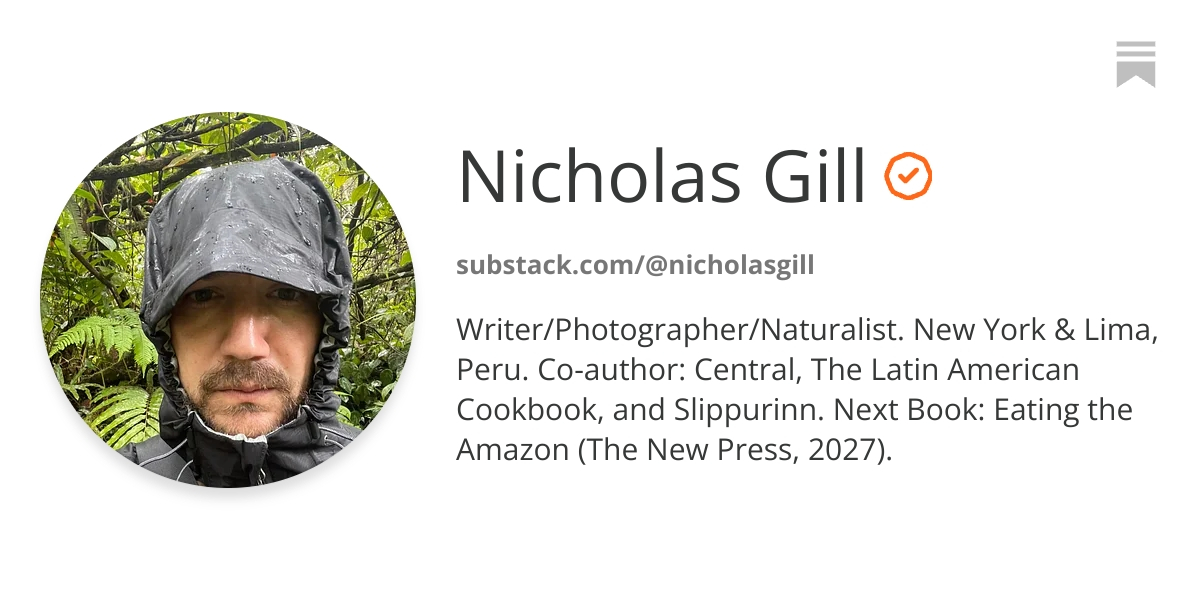 Nicholas Gill | Substack