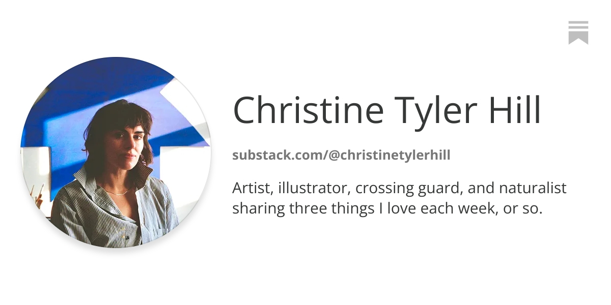 Christine Tyler Hill | Substack