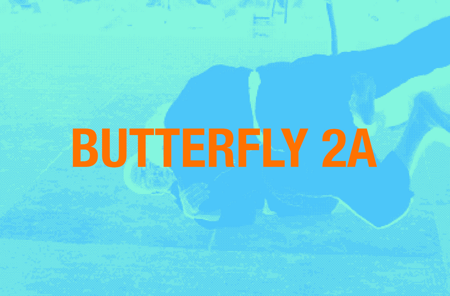 BUTTERFLY GUARD 2A
