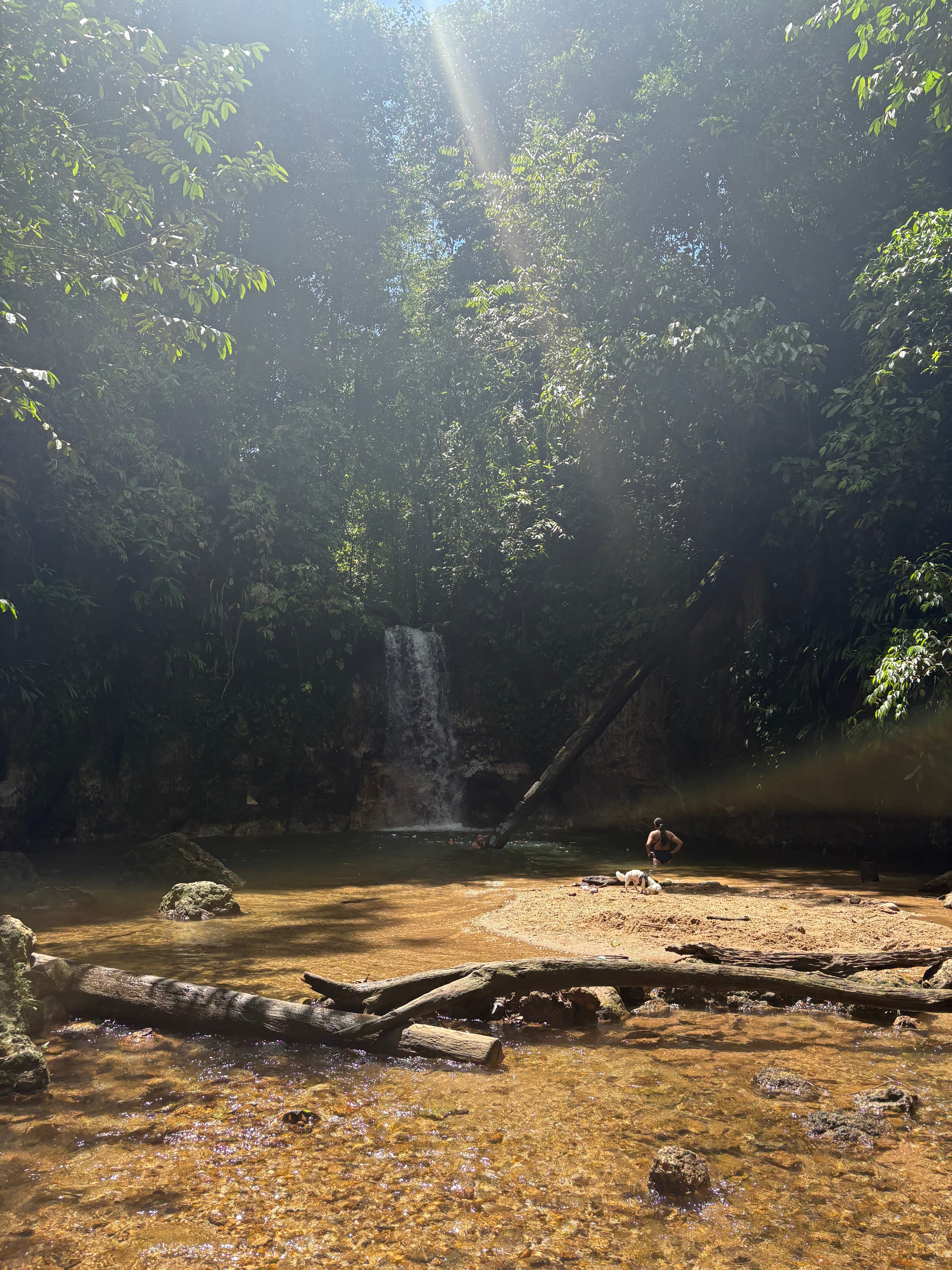 November noodles - Jack’s Substack