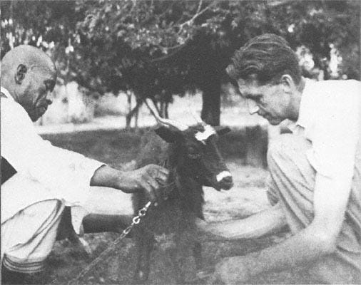 Marrakesh, According to George Orwell