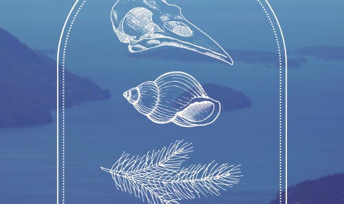 Talebones | S.E. Reid | Substack