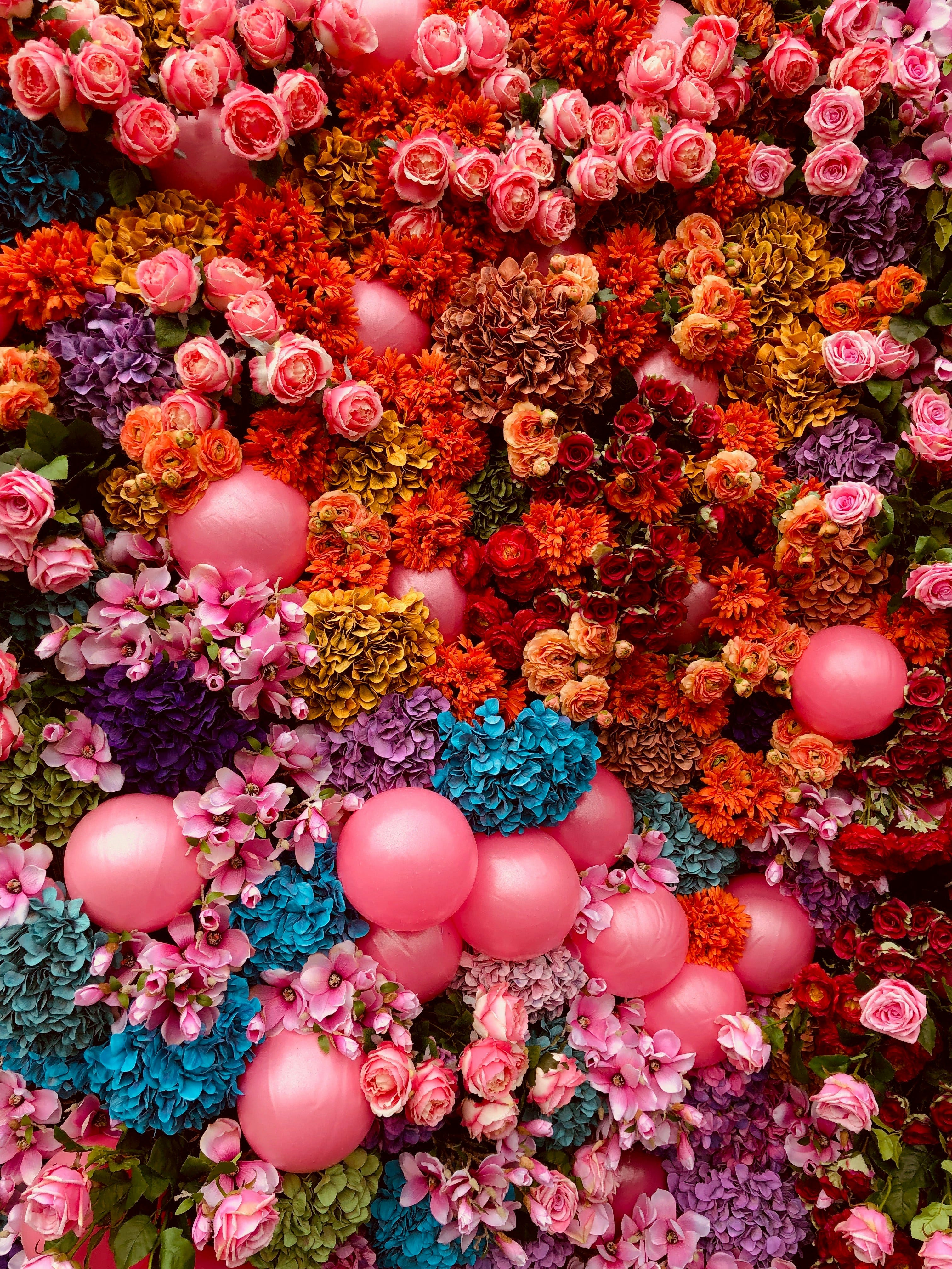 On Clarity of Thought, Wonderland Delusions, and Why Some Clarity Is ...