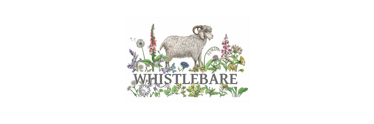 whistlebare studio