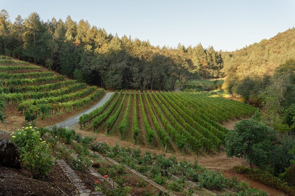 Icons in Wine: Diamond Creek Winery's indelible impact on Napa