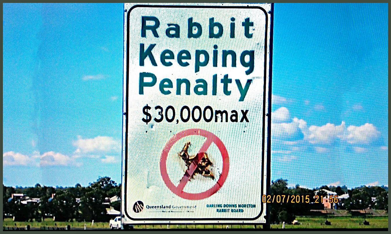 Bondi Beach Massacre: Islam in Action, Doctrine in Practice - RAIR