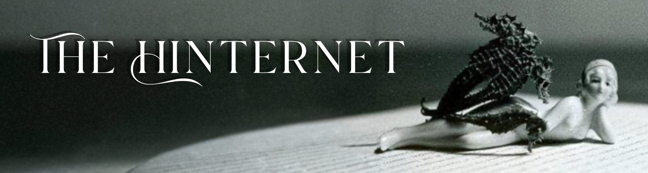 Hinternet Essay Prize Competition