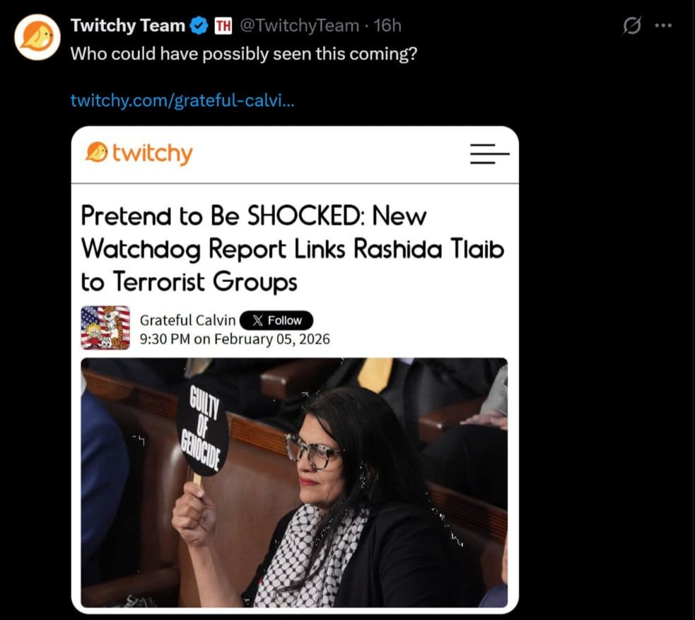 A Matter Of National Security: Damning Report Exposes Rashida Tlaib’s ...
